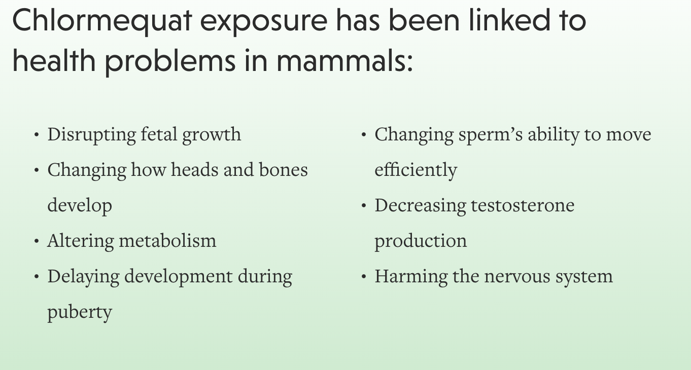 Crops Sure To Contain Higher Levels of Chlormequat Residues